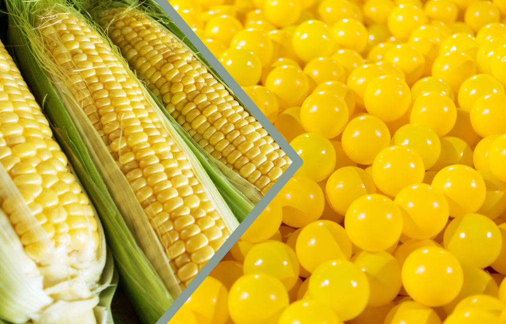 Le Bioplastique - Formes actives
